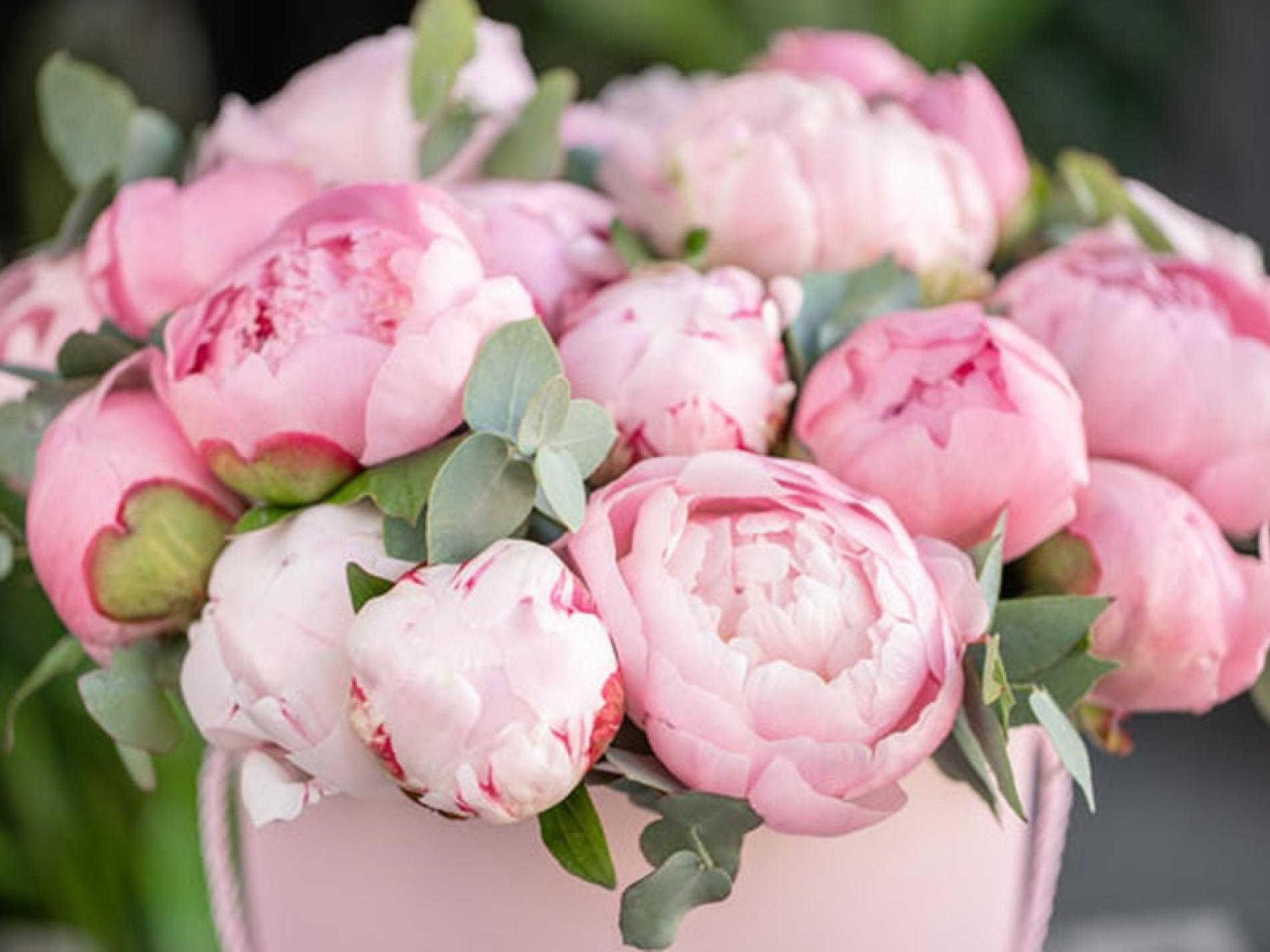 Pfingsten vielseitig entdecken | lernando